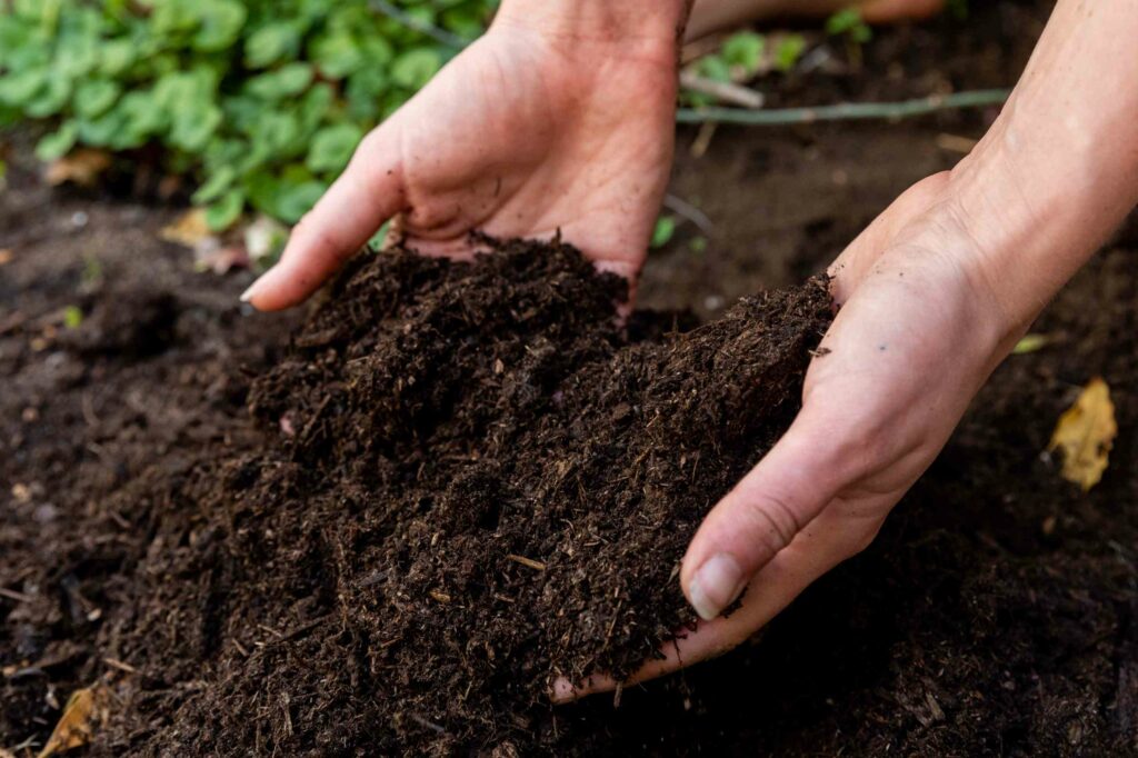Taking Adequate Soil Samples | N.C. Cooperative Extension